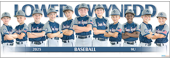 2025 Lower Gwynedd Baseball 9U – Jackal Photography LLC